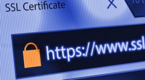 10 Tips To Stay Safe Online - StaySafe.org