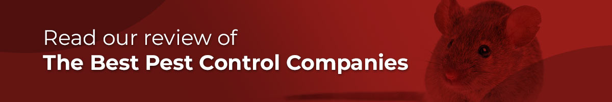 Orkin Pest Control - Our Pick for Best Overall