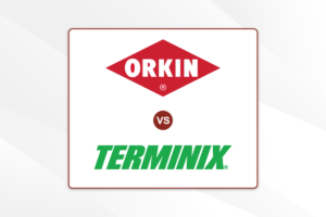 Orkin vs. Terminix - Side by Side Comparison - StaySafe.org
