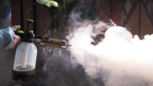 Is Fogging for Mosquitoes Effective?